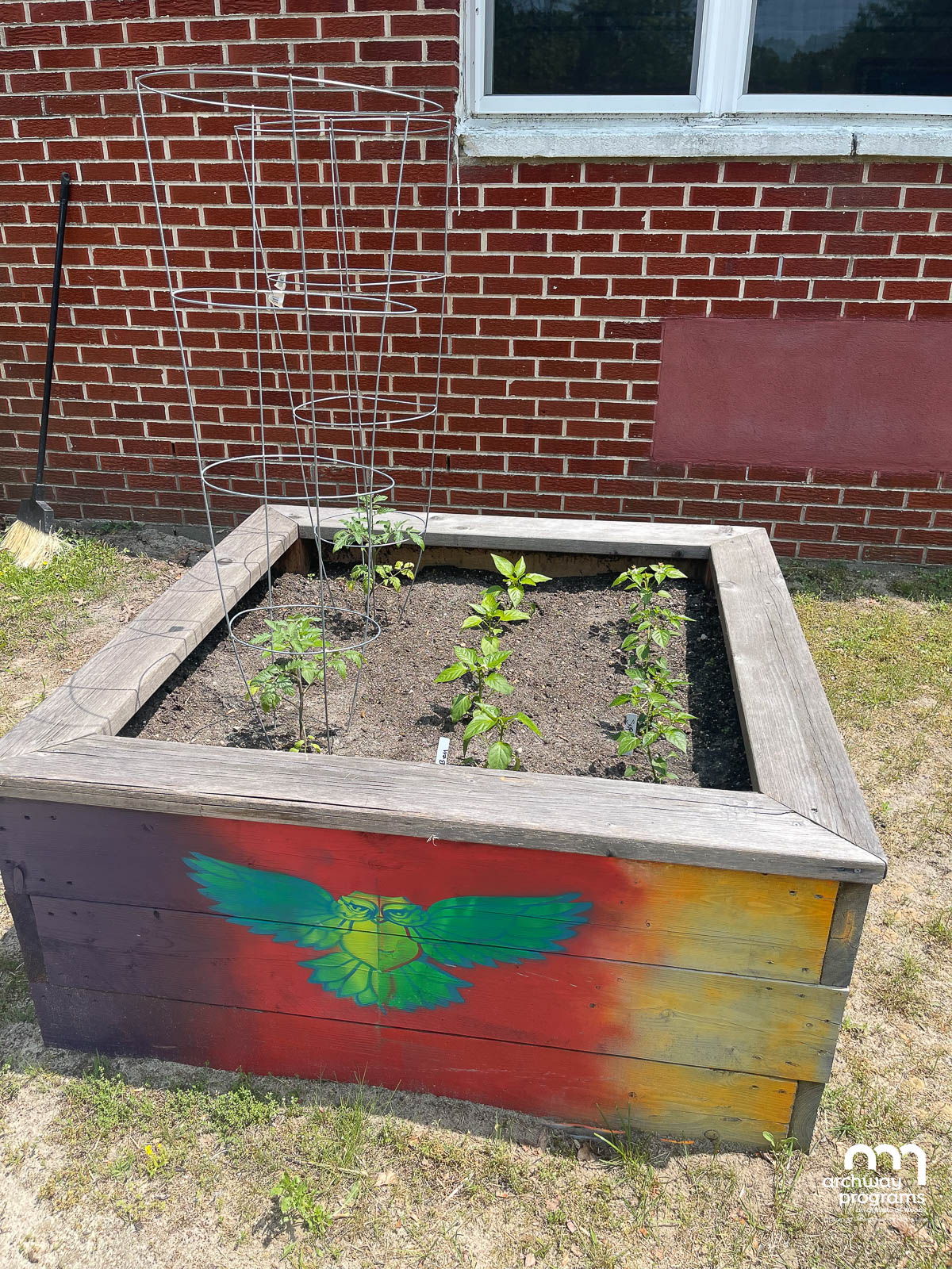 Student Farmers Experience Farm-to-Table and it Looks Delicious! | Archway Programs